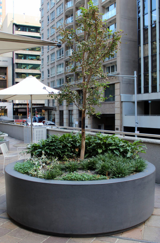 Australia Square, Sydney – Quatro Design