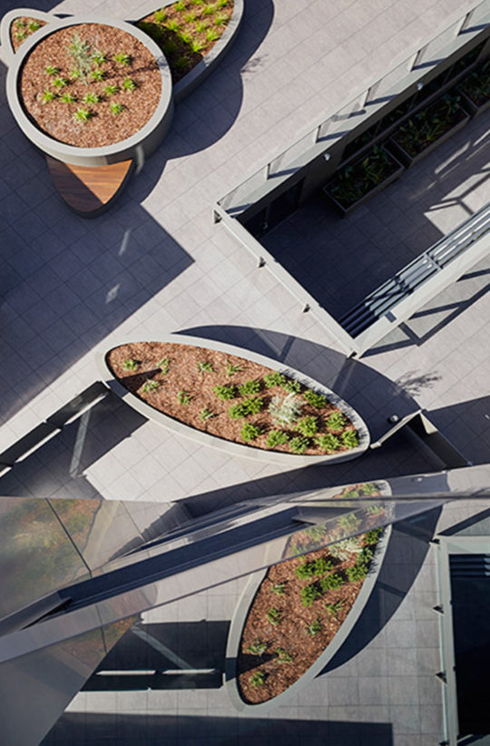 Dimmeys – Quatro Design