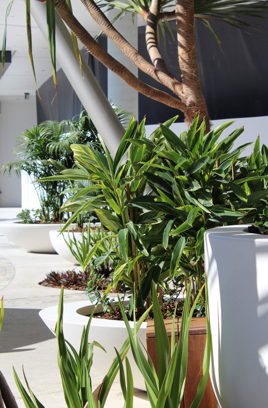 Pacific Fair – Quatro Design